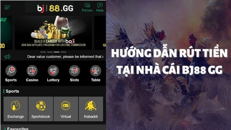 dat cuoc cricket bj88 gg - Gifyu